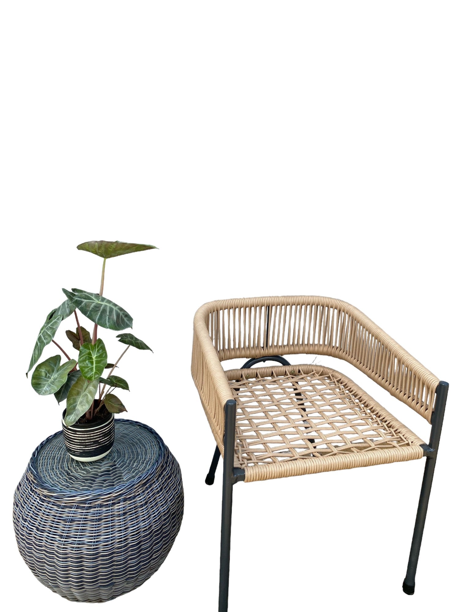 Outdoor dining rope chairs Lounge design